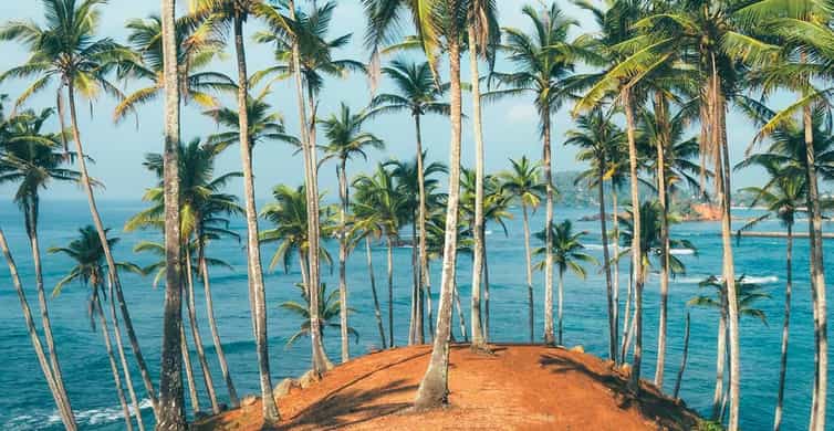 Mirissa Beach, Mirissa - Book Tickets & Tours | GetYourGuide