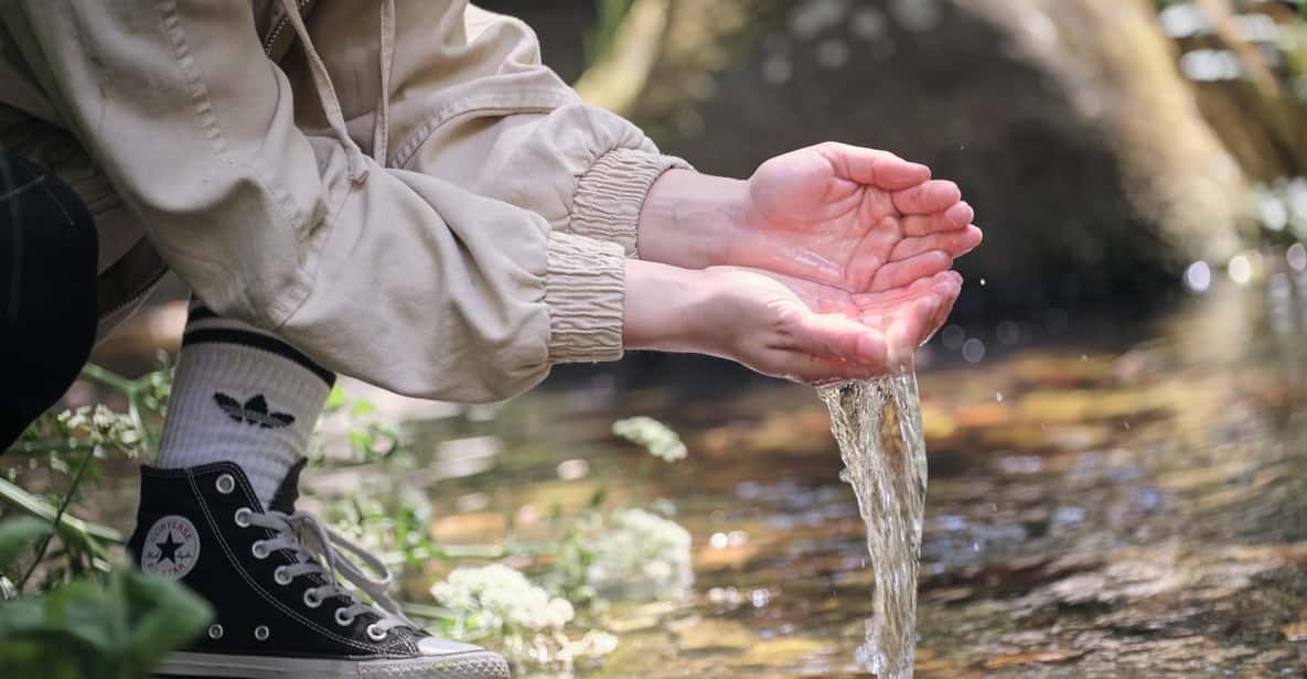 Hiking in Nature: Guided paths passing through Marvão | GetYourGuide
