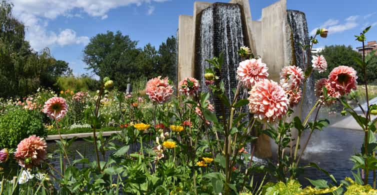 Denver City Walking Tour | GetYourGuide
