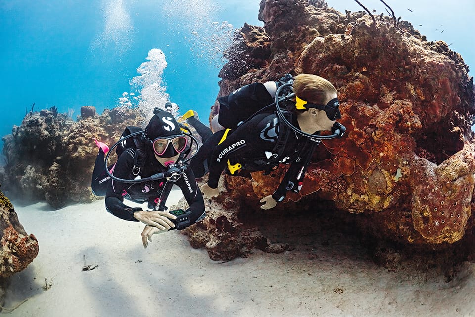 Descubre el submarinismo | GetYourGuide