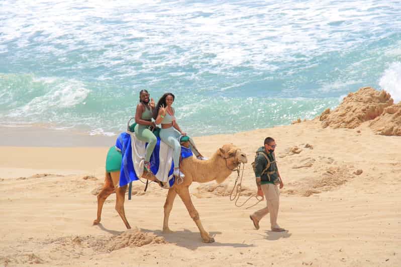 Camel Ride Beach and Desert Adventure. | GetYourGuide