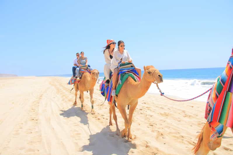 Camel Ride Beach and Desert Adventure. | GetYourGuide