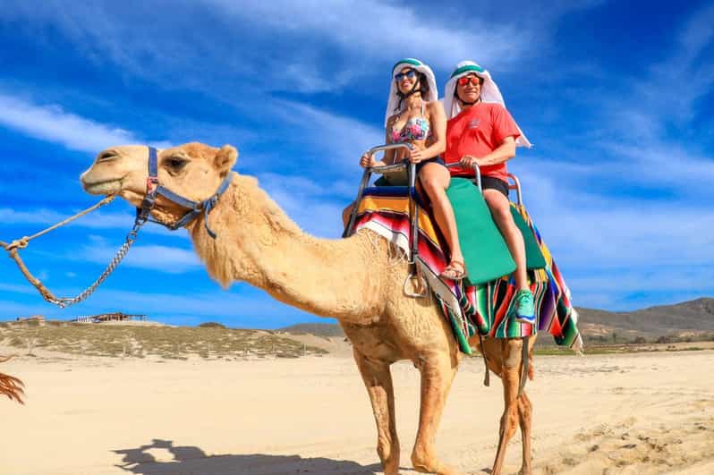 Camel Ride Beach and Desert Adventure. | GetYourGuide