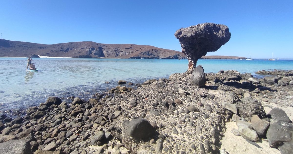 Cabo San Lucas : plage de Balandra et visite de la ville | GetYourGuide