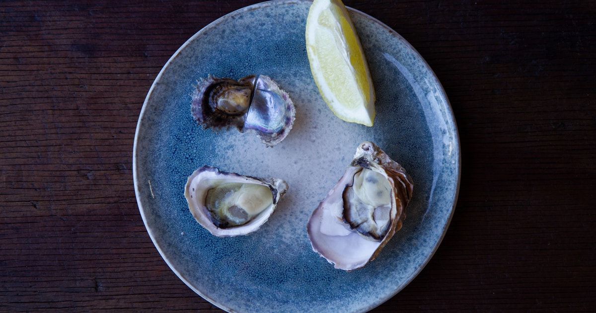 Guided oyster tasting | GetYourGuide