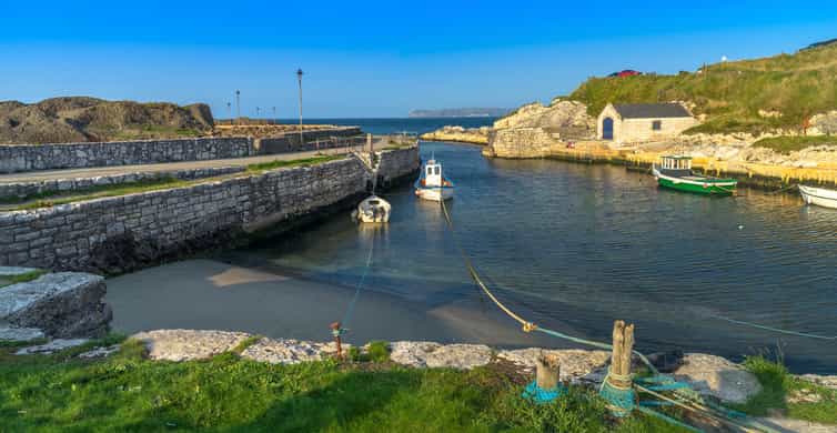 Van Portrush: Halve dagtour langs de Causeway Coast | GetYourGuide