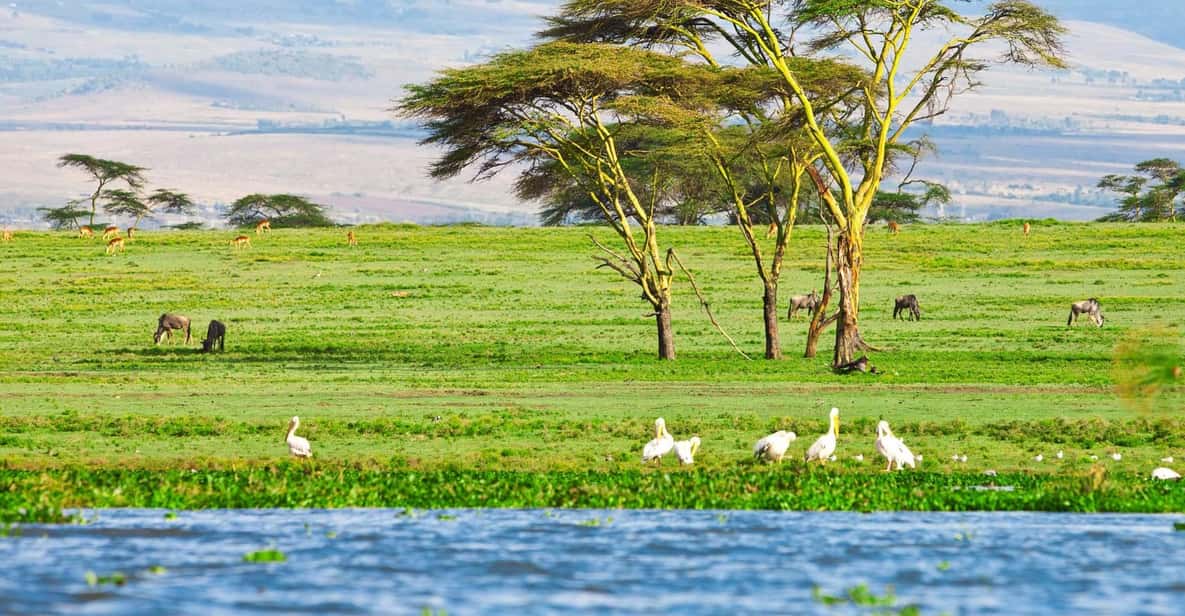 Tagestour zum Naivasha-See und zum Hell's Gate Park | GetYourGuide