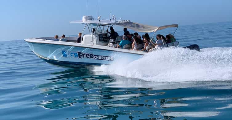 Růžový ostrov: Rose Rose: Plavání s prasaty, šnorchlování a oběd ...