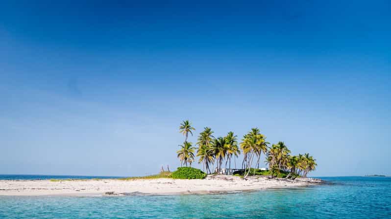 Růžový ostrov: Rose Rose: Plavání s prasaty, šnorchlování a oběd ...