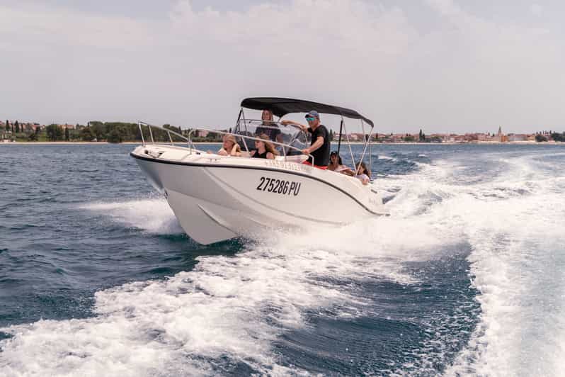 Seagull rocks: με ψαροντούφεκο στις σπηλιές | GetYourGuide