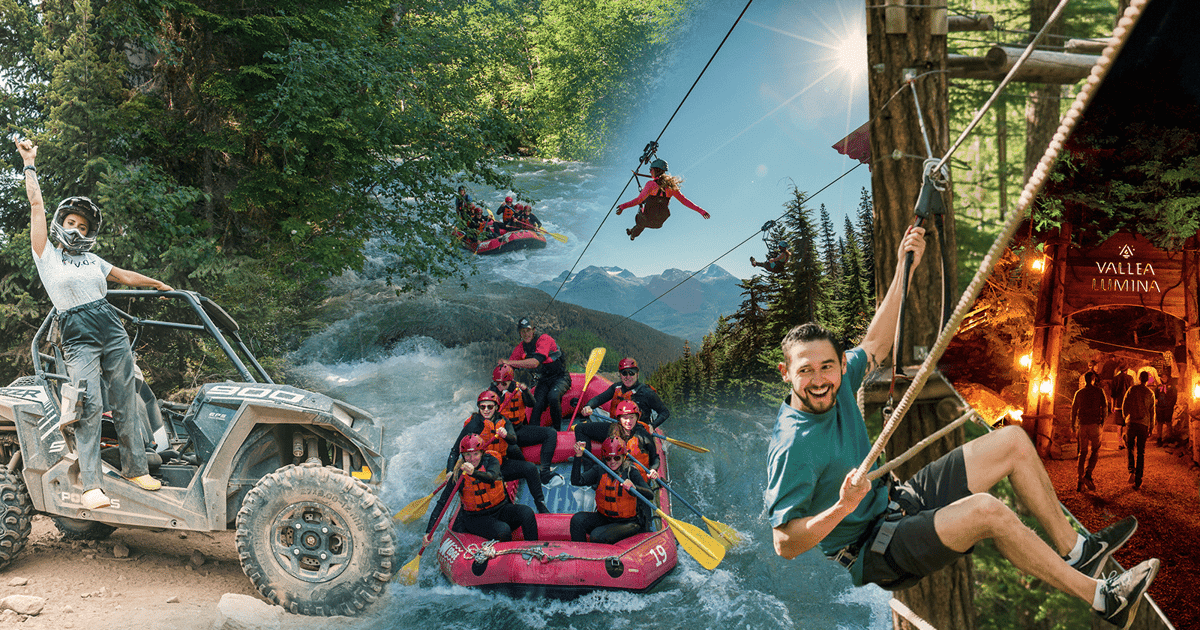Whistler: Adventure Park Day Pass | GetYourGuide