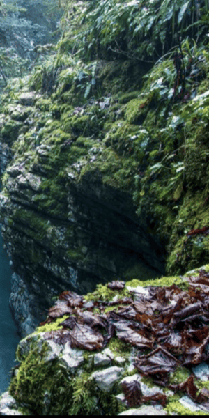 From Batumi: Martvili Canyon and Prometheus Cave Tour | GetYourGuide