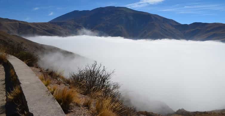 Salta: Cachi and Parque Nacional Los Cardones | GetYourGuide