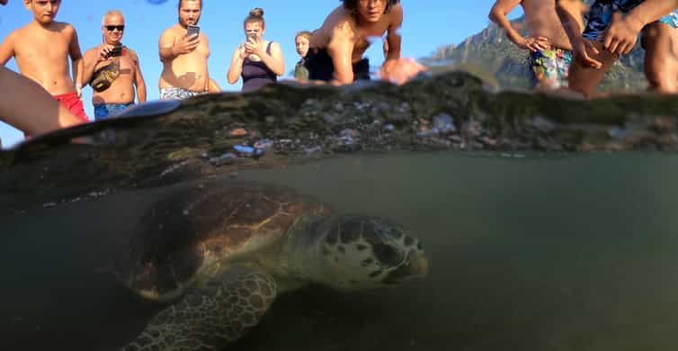 Didim: Dalyan-tour met Turtle Beach, modderbad en lunch | GetYourGuide