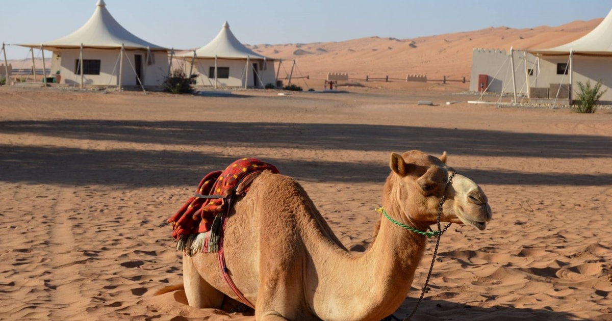 Wahiba Sands & Wadi Bani Khalid (Full Day) 4WD Desert safari | GetYourGuide