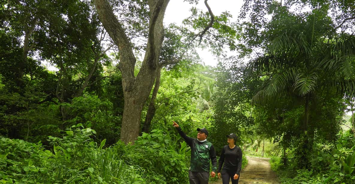 Paseos por la naturaleza en una reserva natural y almuerzo en las islas ...
