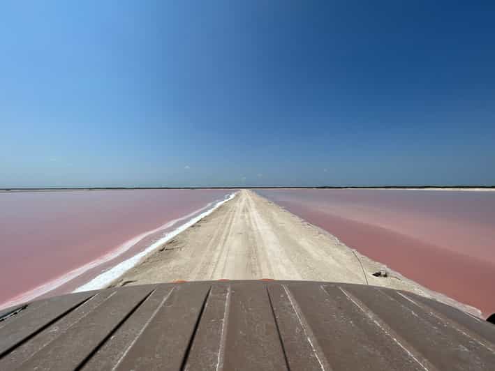 Safari tour around the pink lakes of Las Coloradas | GetYourGuide
