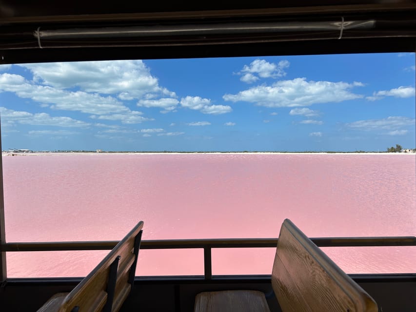 Safari tour around the pink lakes of Las Coloradas | GetYourGuide