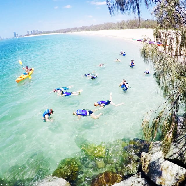 Gold Coast: Kayaking and Snorkeling Guided Tour | GetYourGuide