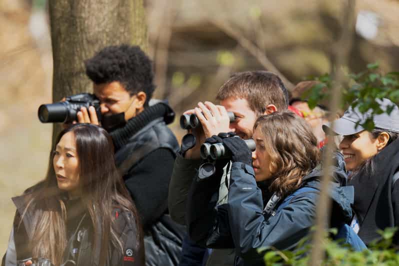 New York: Birdwatching Tour in Central Park | GetYourGuide