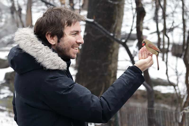 New York: Birdwatching Tour in Central Park | GetYourGuide