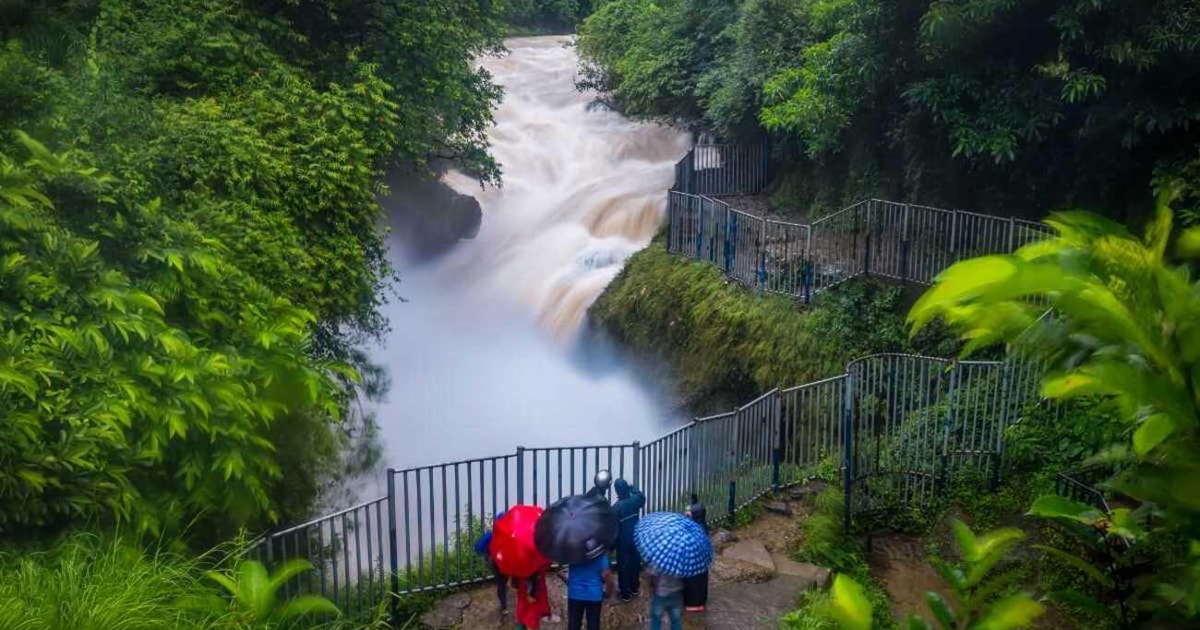 Pokhara: Devi's Fall, Cave, and Pagoda Hill Half-Day Tour | GetYourGuide