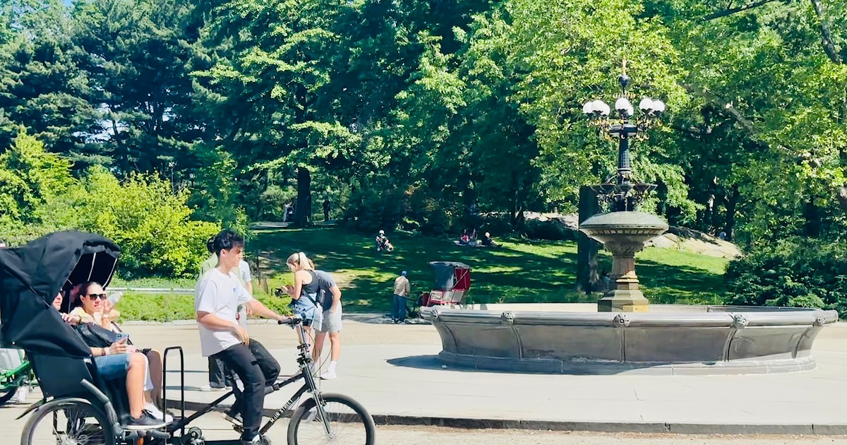 NYC: Central Park Pedicab Tour - Highlights | GetYourGuide