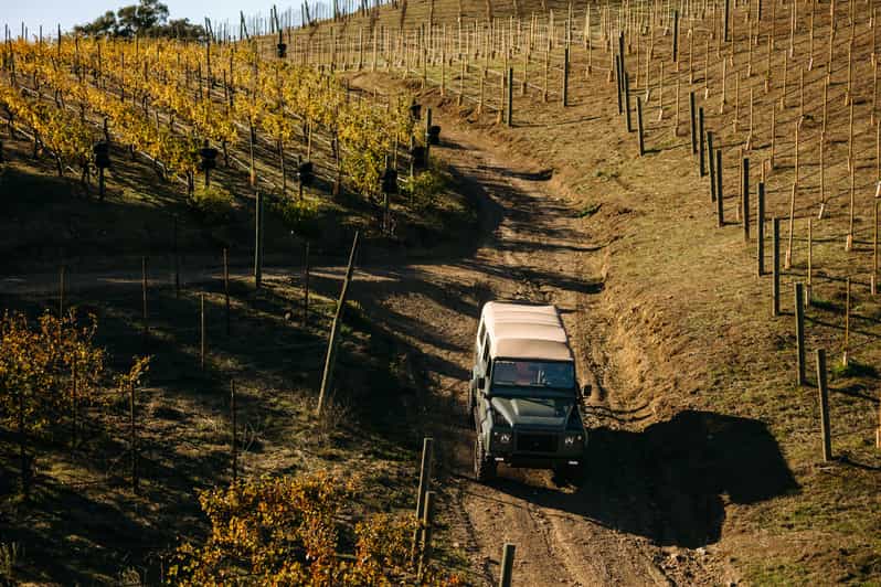 4x4 Private Vineyard Tour | GetYourGuide