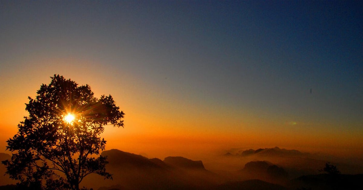 Kanha National Park: Open Jeep Tiger Safari in Kanha Kisli | GetYourGuide