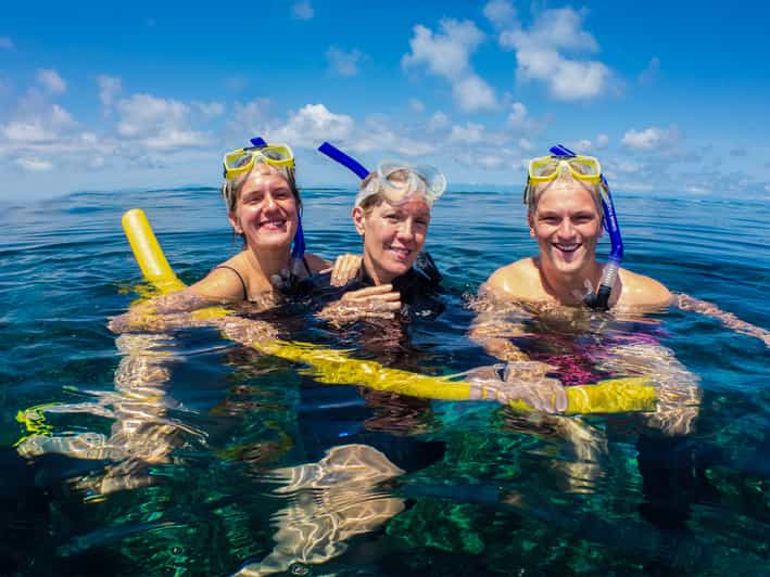Port Douglas: ABC Snorkel Charters Outer Reef Just 12 Guests | GetYourGuide
