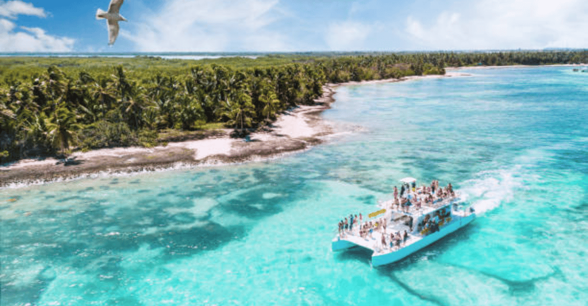 Punta Cana: Saona Island Full day From Punta Cana | GetYourGuide