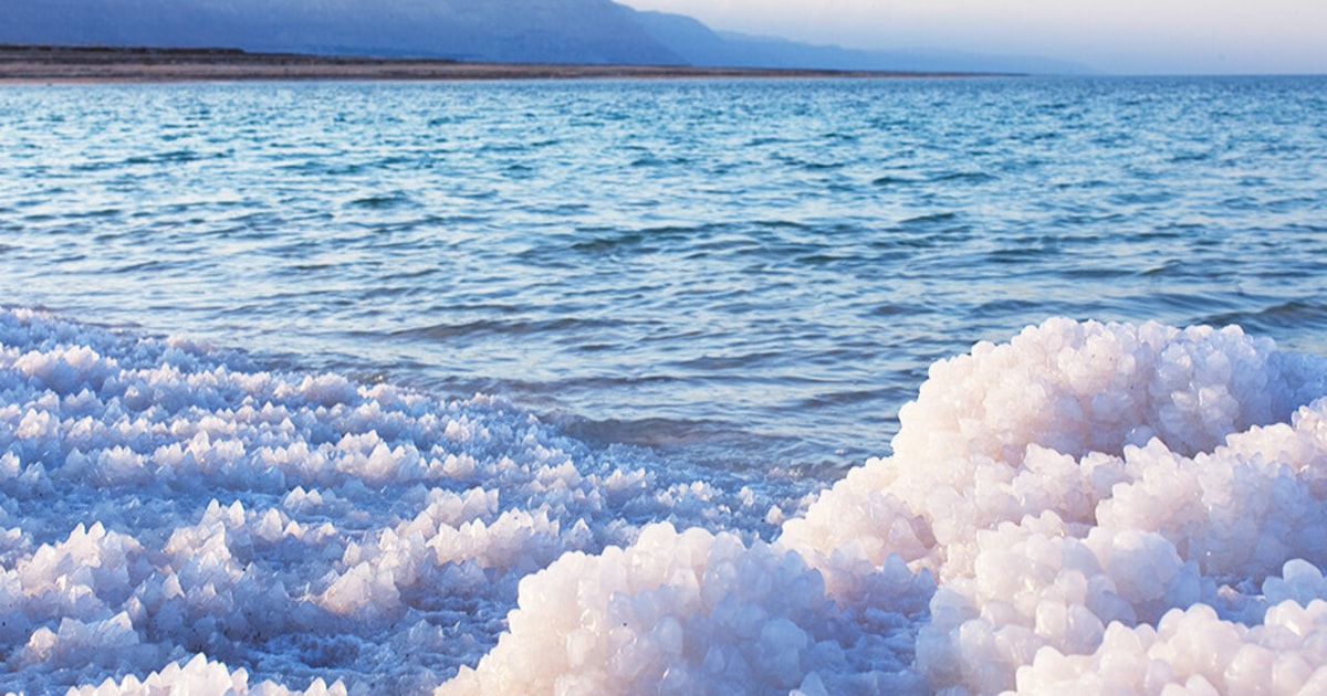 From Queen Alia Airport To Dead sea | GetYourGuide