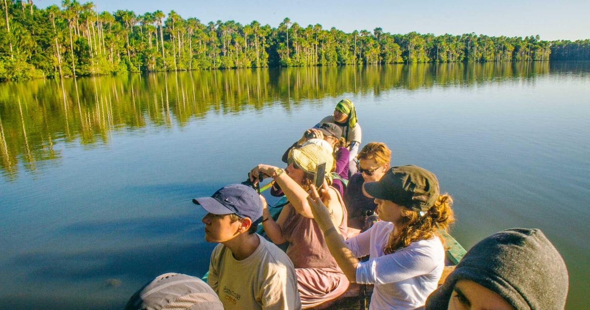 Desde Puerto Maldonado | Caminata en la selva + Lago Sandoval ...