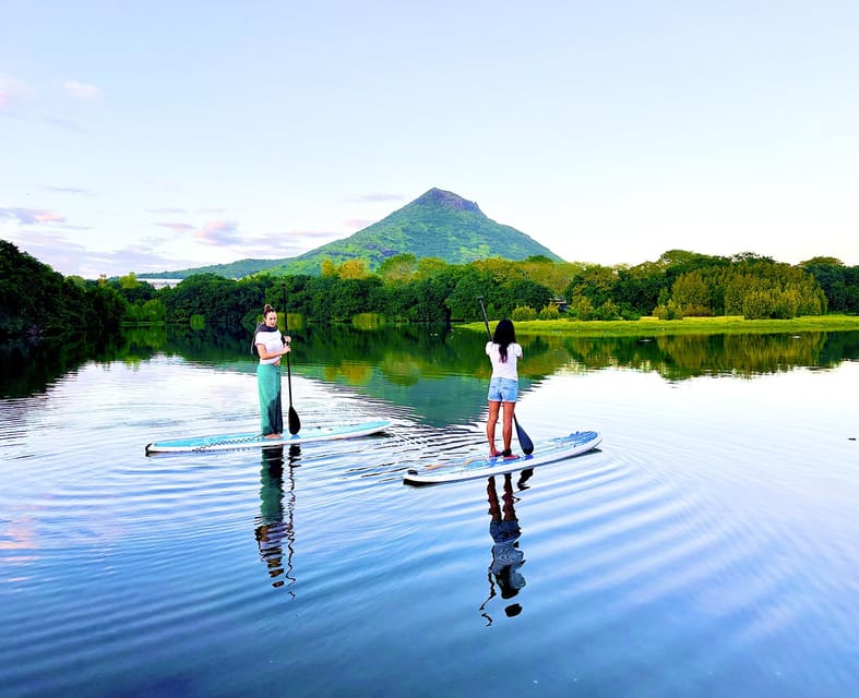 Mauritius: Guided Stand Up Paddle Tour on Tamarin River | GetYourGuide