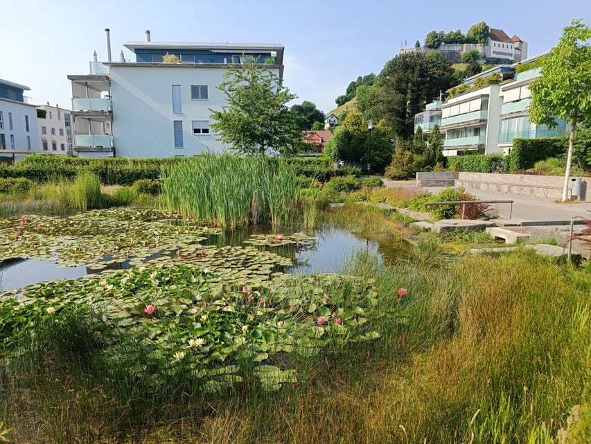 Lenzburg: Private Walking Tour with a Local Guide | GetYourGuide