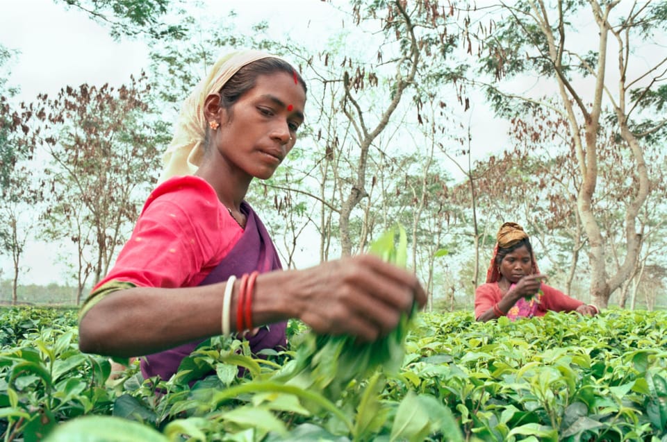 Guided Andretta Artists' VIllage Tour | GetYourGuide