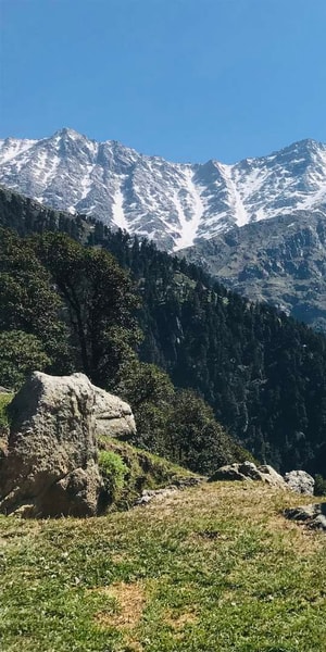 Guided Lama Dugh Hike in Manali | GetYourGuide