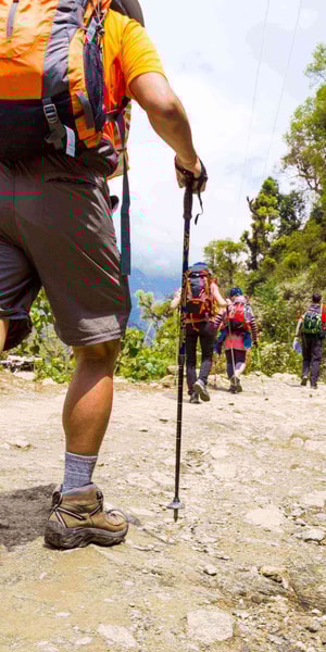 Guided Lama Dugh Hike in Manali | GetYourGuide