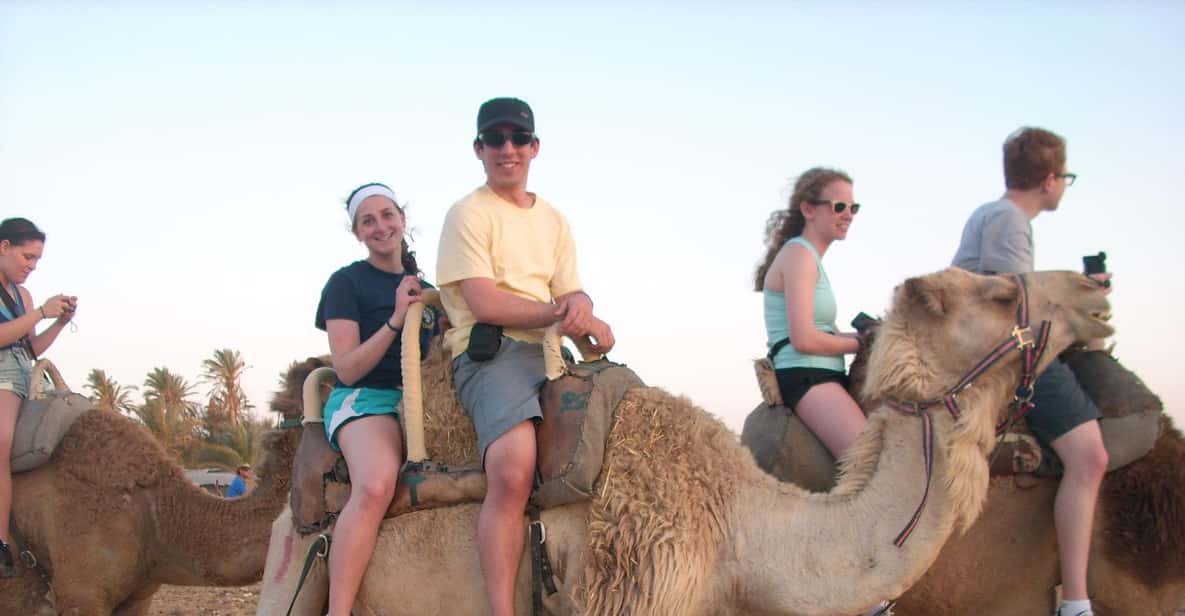 Agadir: Flamingo River Camel Ride w/Optional BBQ | GetYourGuide