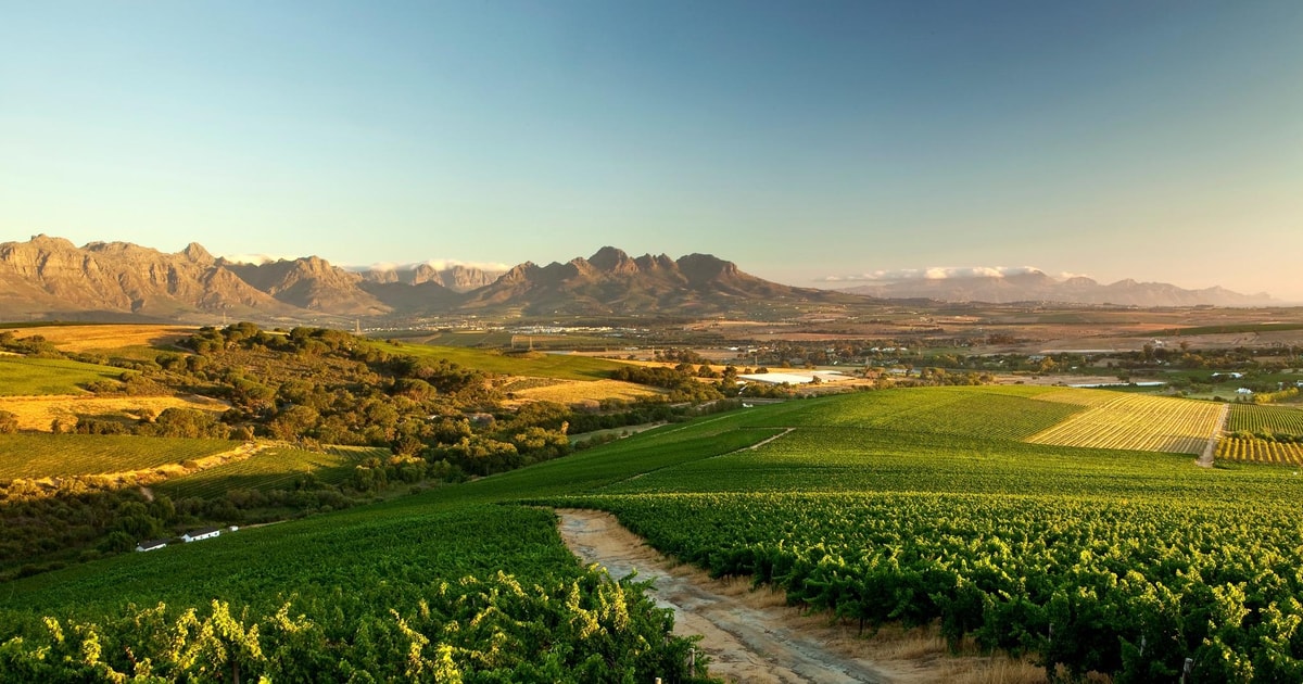 Full-Day Cape Winelands Tour | GetYourGuide