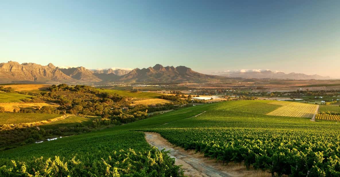 Full-Day Cape Winelands Tour | GetYourGuide