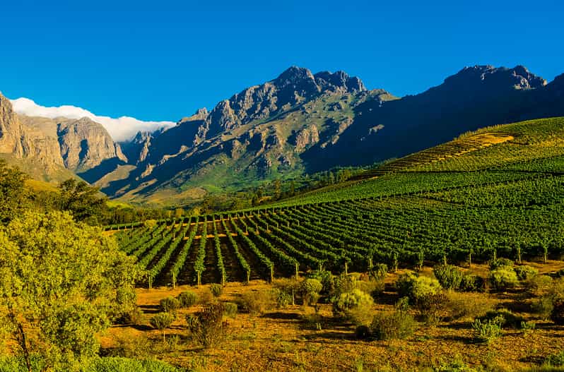Full-Day Cape Winelands Tour | GetYourGuide