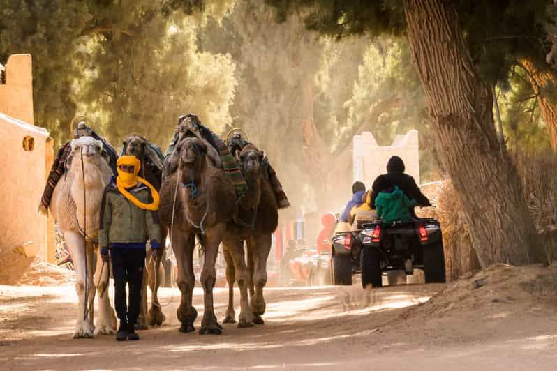 4 Days Tour to Tozeur, Douz, Jeep 4x4, Camel Ride, El Jem | GetYourGuide