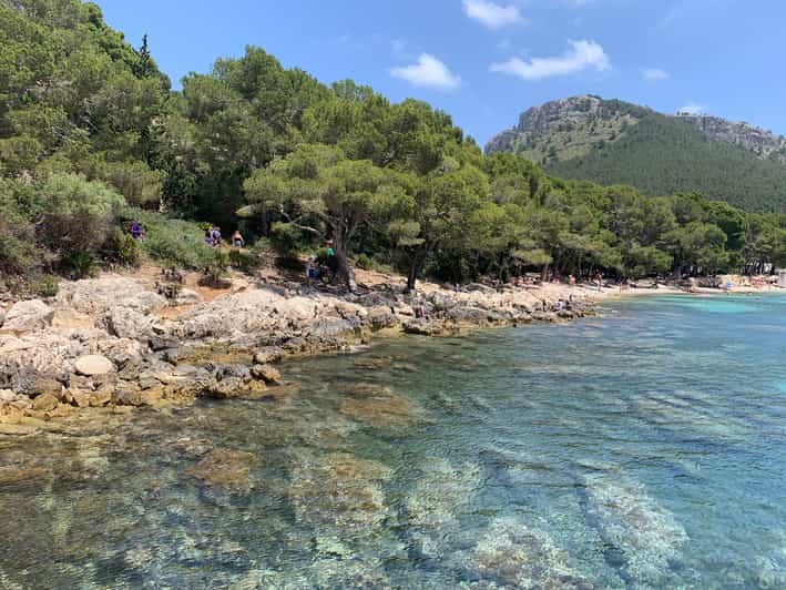 Tagesausflüge von Port de Pollença nach Pollença | GetYourGuide