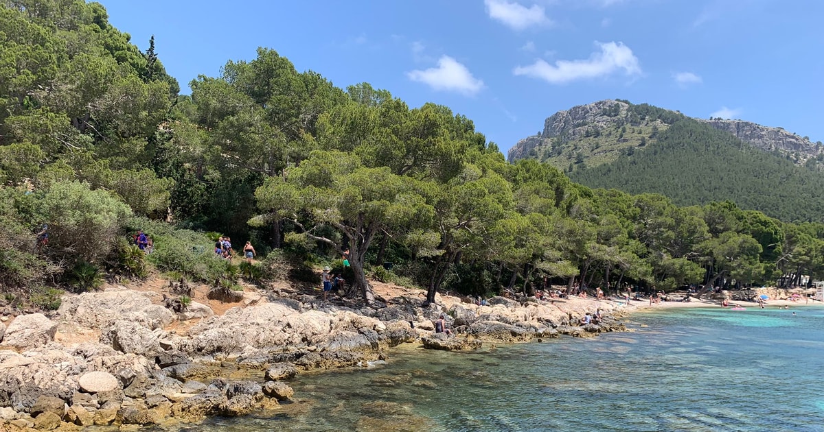 The bay of Pollença, where the sea merges with the serenity. | GetYourGuide