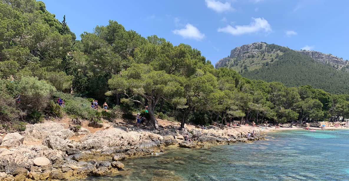 The bay of Pollença, where the sea merges with the serenity. | GetYourGuide