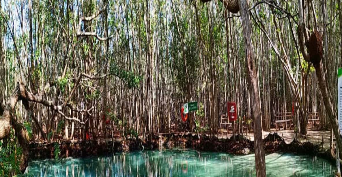 Progreso, el corchito & Motul | GetYourGuide