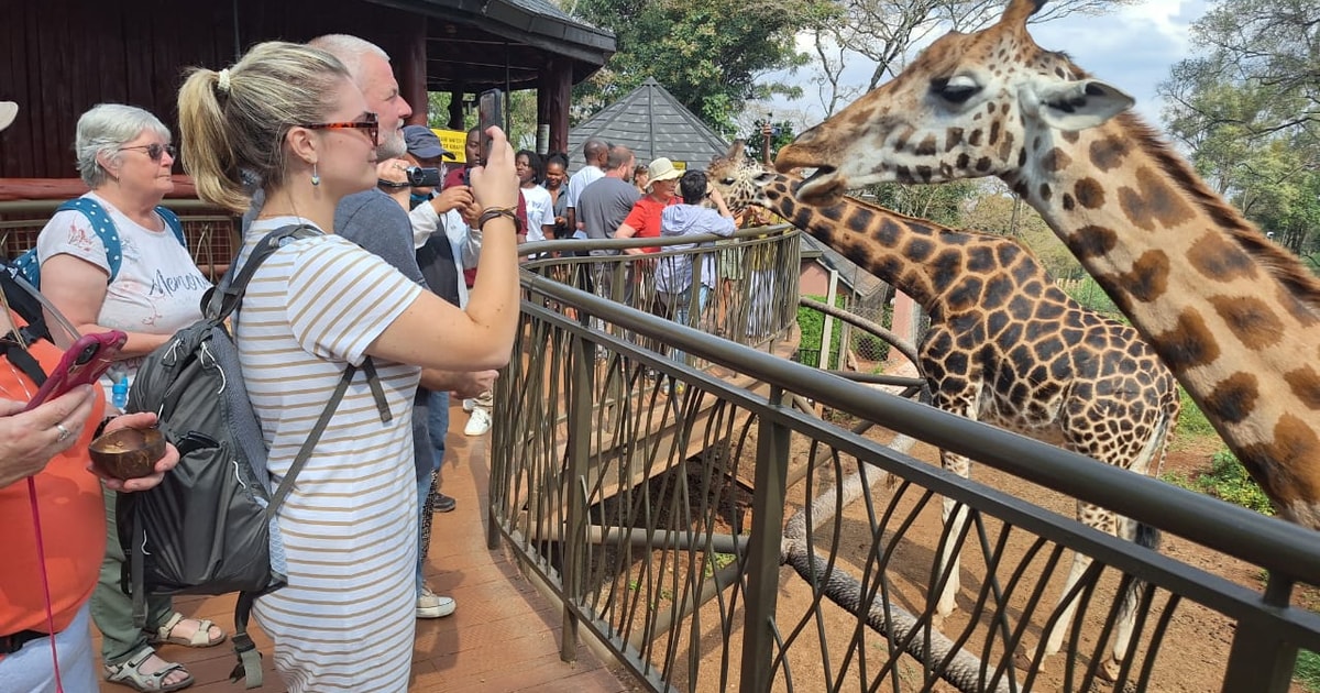 Nairobi Wildlife Highlights And Excursions With Free pick up | GetYourGuide