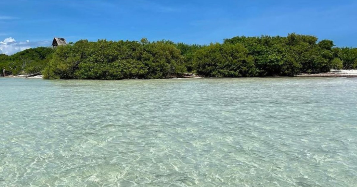 Tour 3 islas "Islas pájaros, Yalahau & Isla de la Pasión" | GetYourGuide