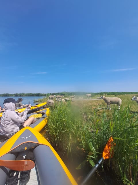 Amsterdam Countryside bike and kayak tour | GetYourGuide